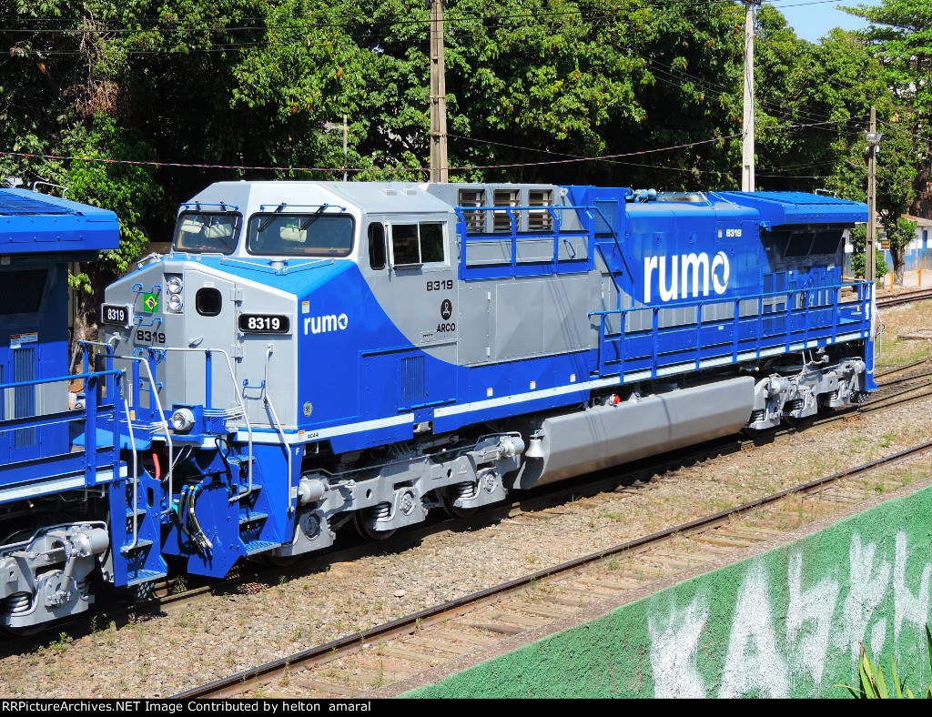 RUMO 8319